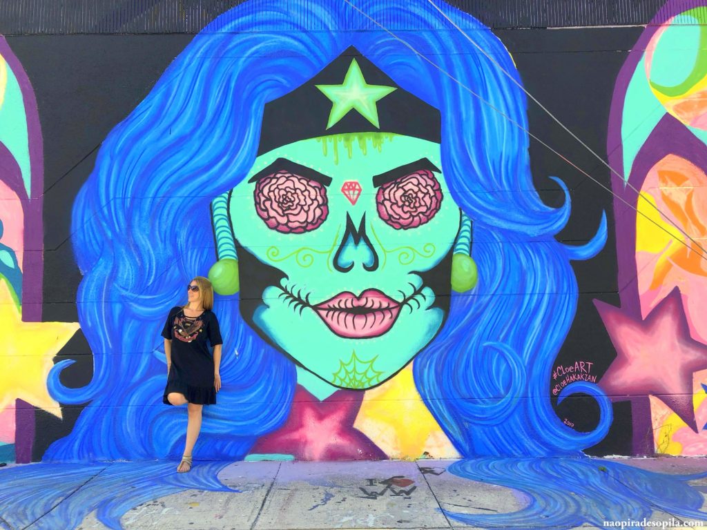 O que fazer em Miami pela primeira vez? - Não Pira, Desopila