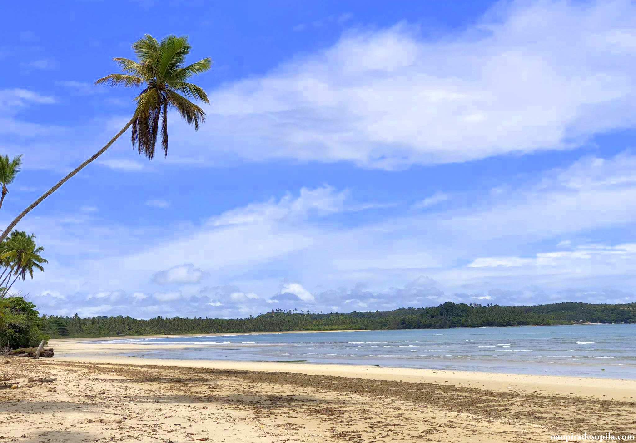 O que fazer em Boipeba e quantos dias de roteiro? - Não Pira, Desopila